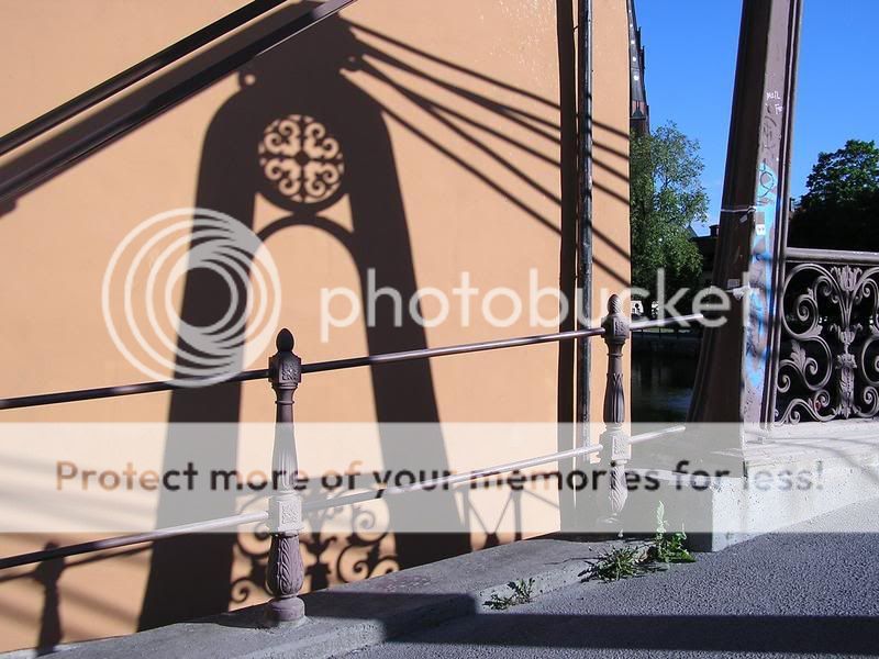 Totally Enraptured: Abstract Photographs