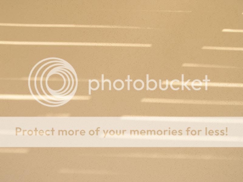 Totally Enraptured: Abstract Photographs