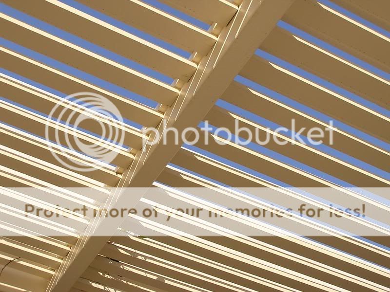 Totally Enraptured: Abstract Photographs