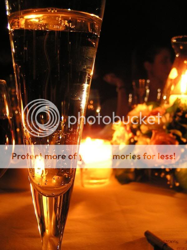 Totally Enraptured: Abstract Photographs