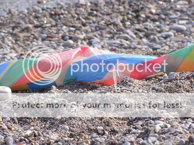 Totally Enraptured: Abstract Photographs