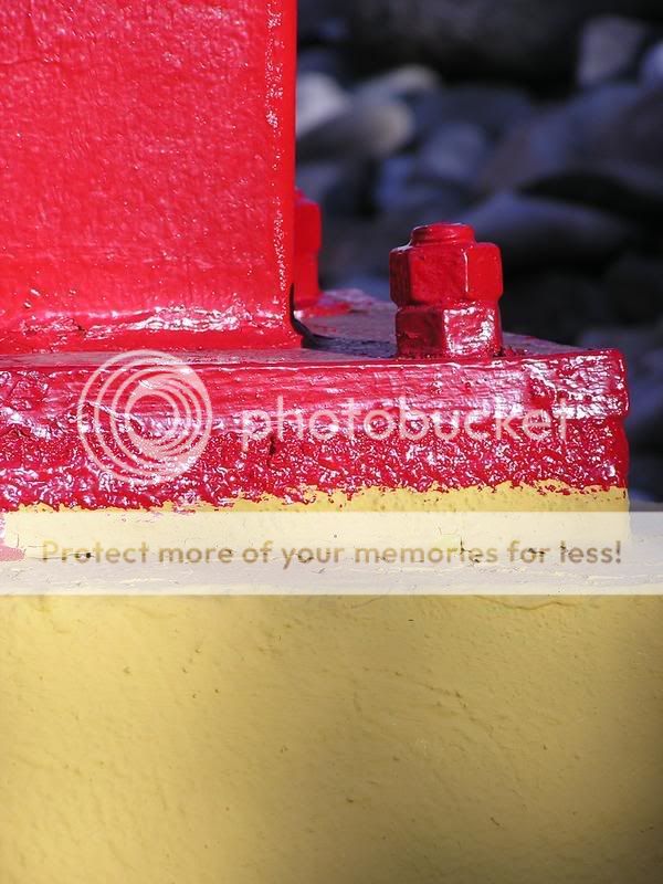 Totally Enraptured: Abstract Photographs