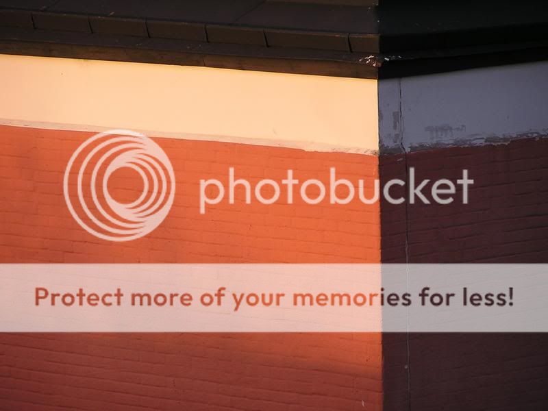 Totally Enraptured: Abstract Photographs