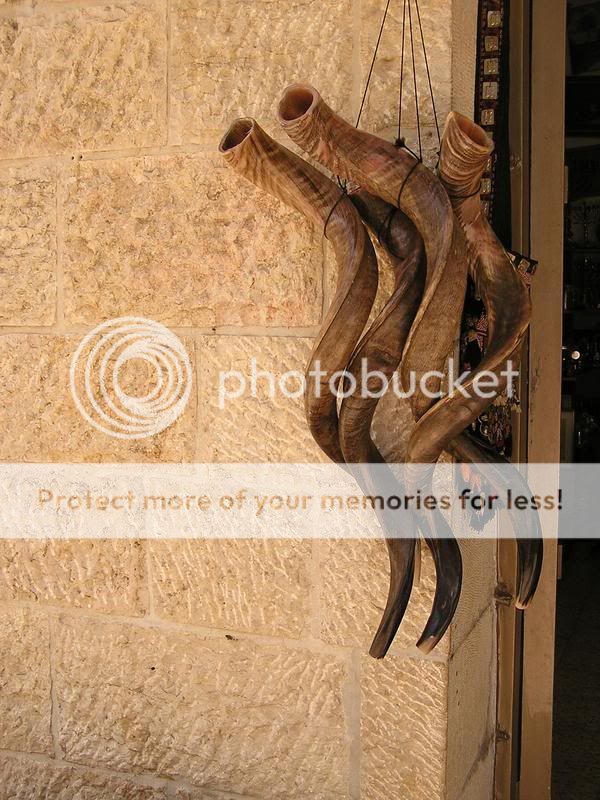 Totally Enraptured: Abstract Photographs