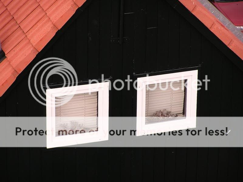 Totally Enraptured: Abstract Photographs