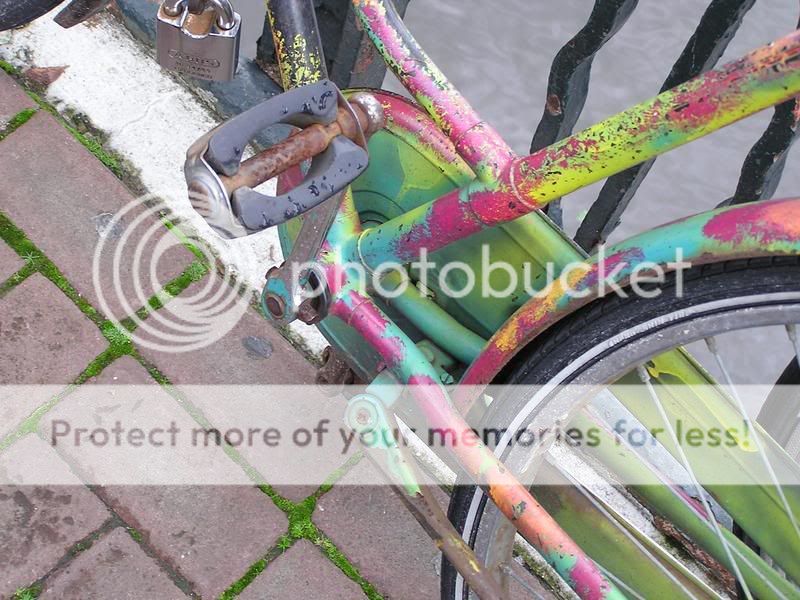 Totally Enraptured: Abstract Photographs