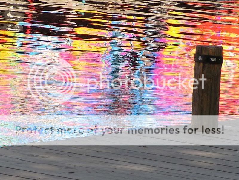 Totally Enraptured: Abstract Photographs