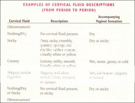 How Does FAM Work?: charting_niamh — LiveJournal