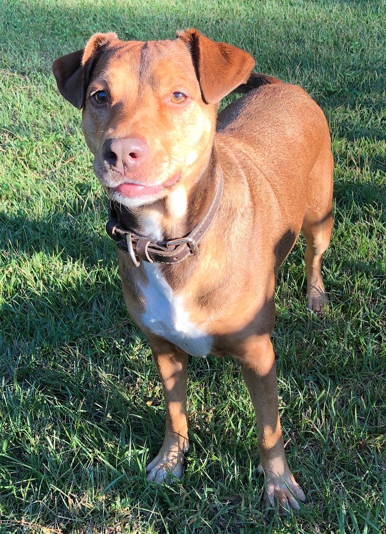 Sadie | Smith And Wesson Forums