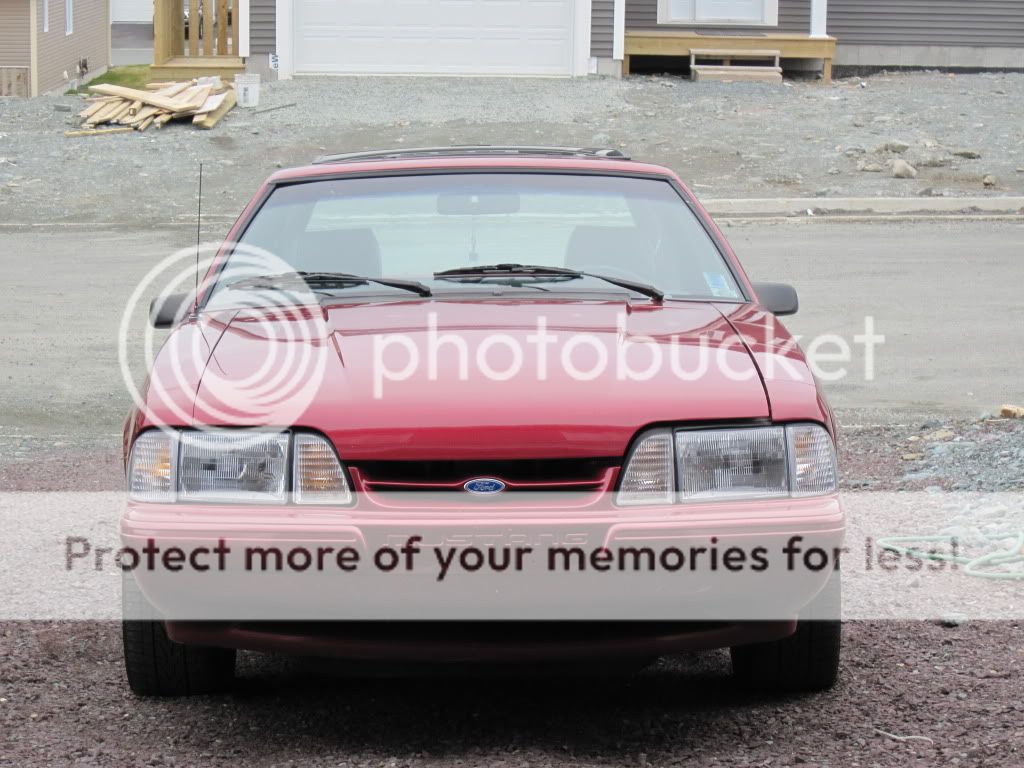 New Headlights | Ford Mustang Forum