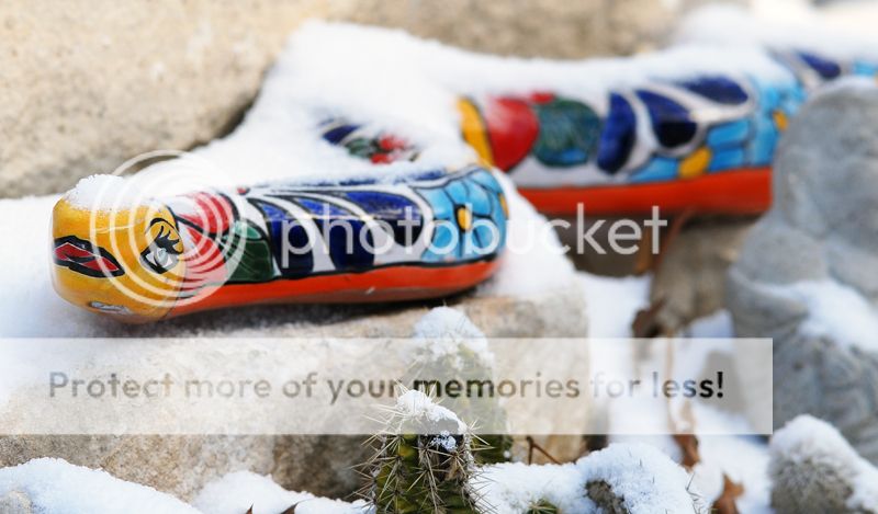 Serpents of Winter... - Field Herp Forum